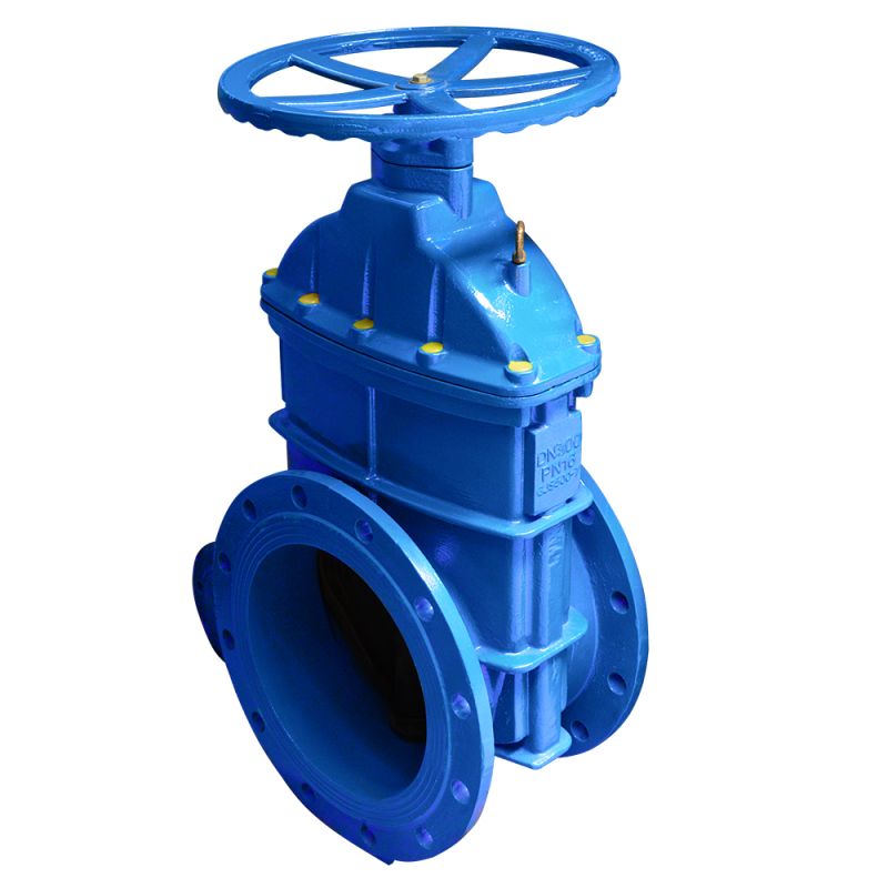 Gate valve DN 300 PN 16 with flange and rubber closures | Me
