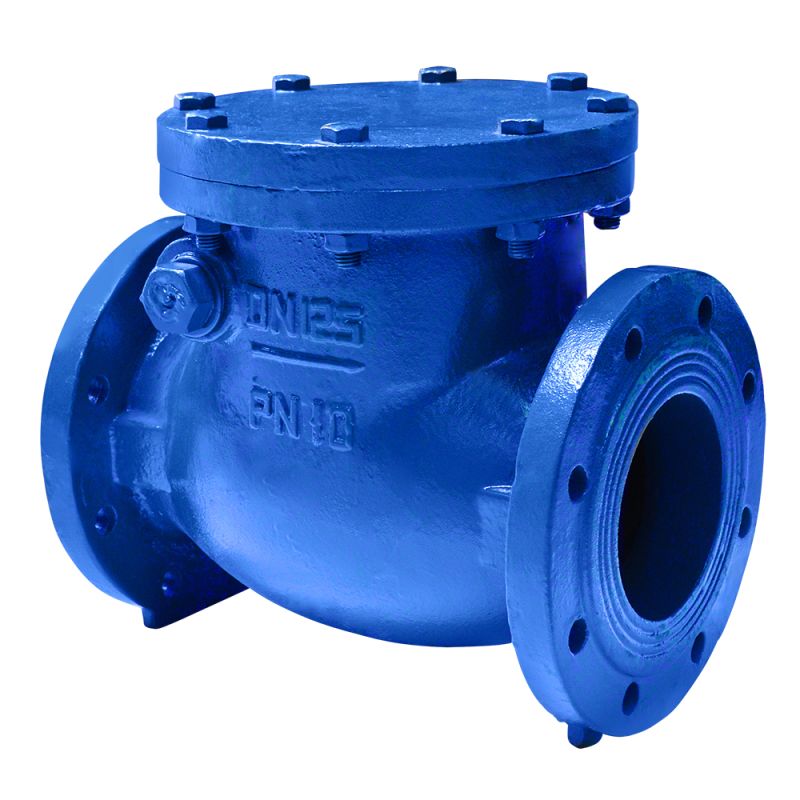 Non-return valve DN 125 PN 10 with flange and metal closures