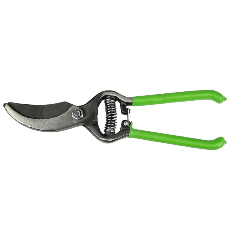 Pruning shears, green, stainless steel | Megatek