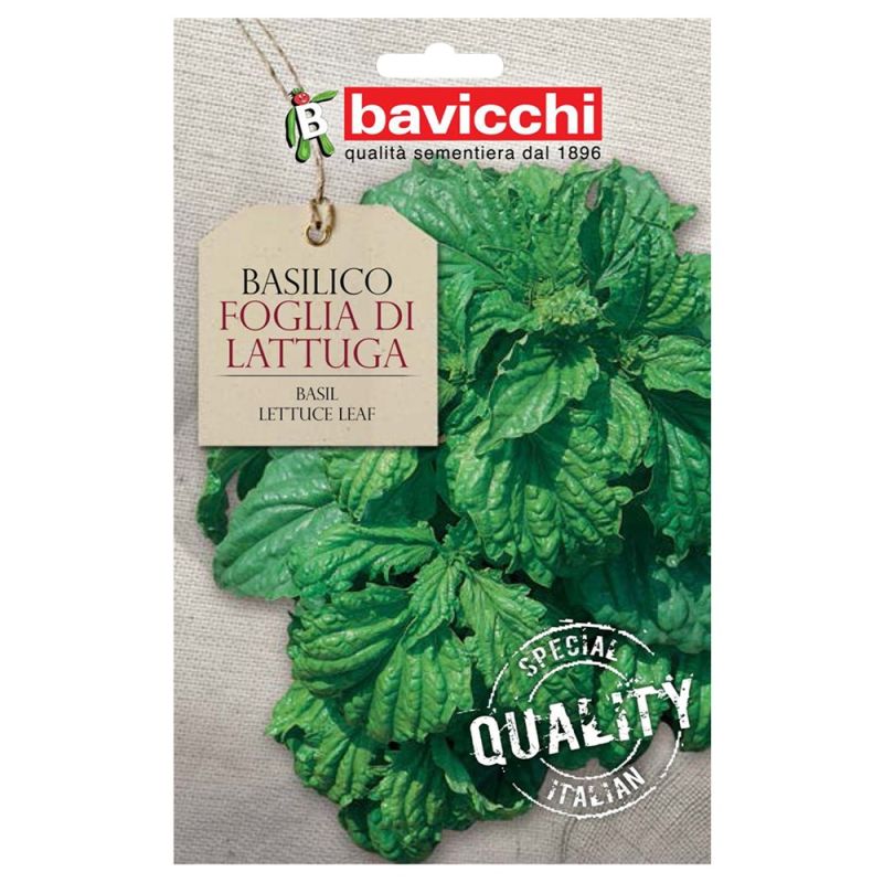 Farë bimë aromatike, borziloku variatet sezonal | Megatek