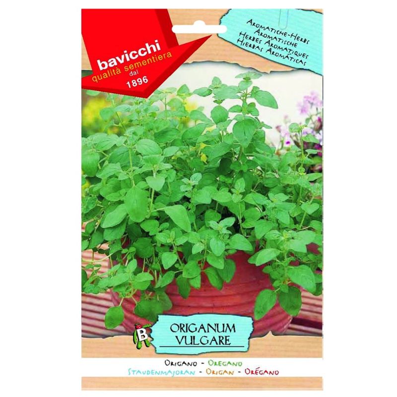 Farë bimë aromatike, rigon | Megatek