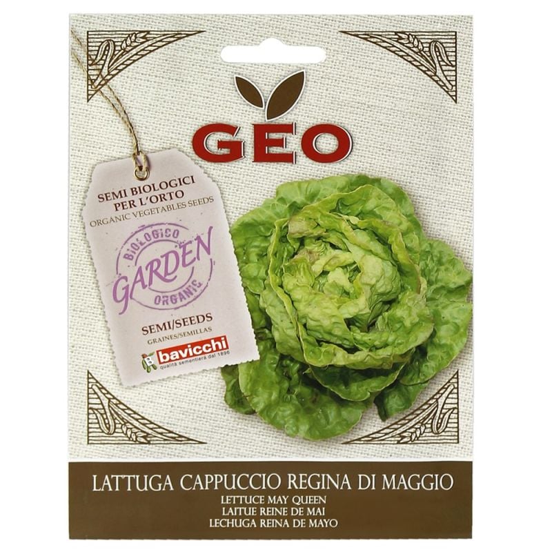 Vegetable seeds, lettuce may queen | Megatek