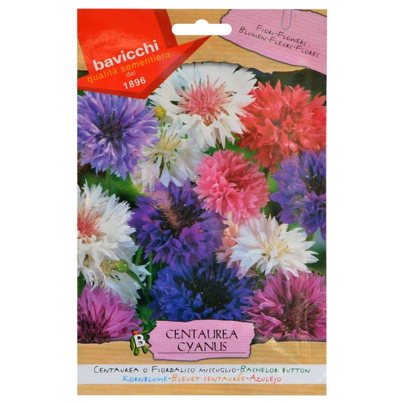Flowers seeds, bachelor button | Megatek