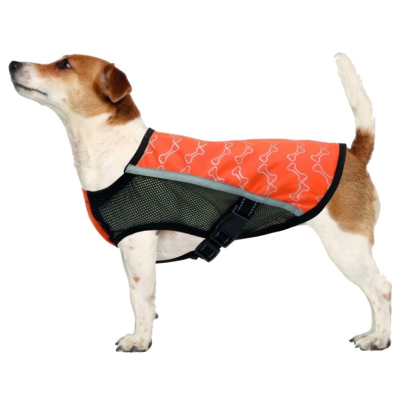 Mushama kundra shiut per qen, Camon, 36 cm | Megatek