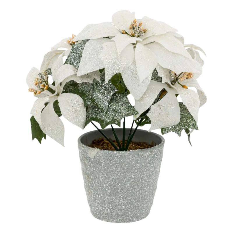 Lule dekorative Christmas, Poinsettita white, ngjyre e bardh